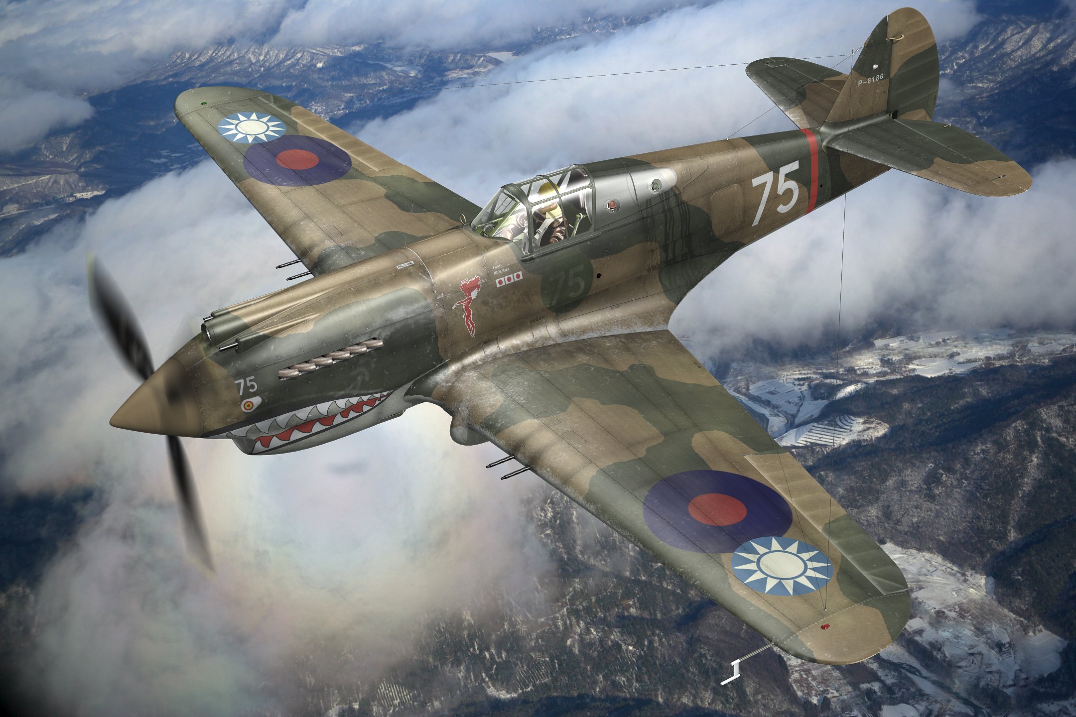 2. The model, described in this book